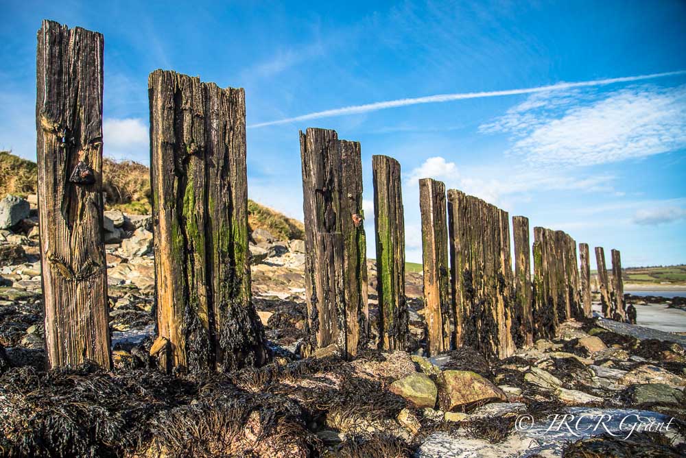 Harbour View Beach – Meticulous Mick