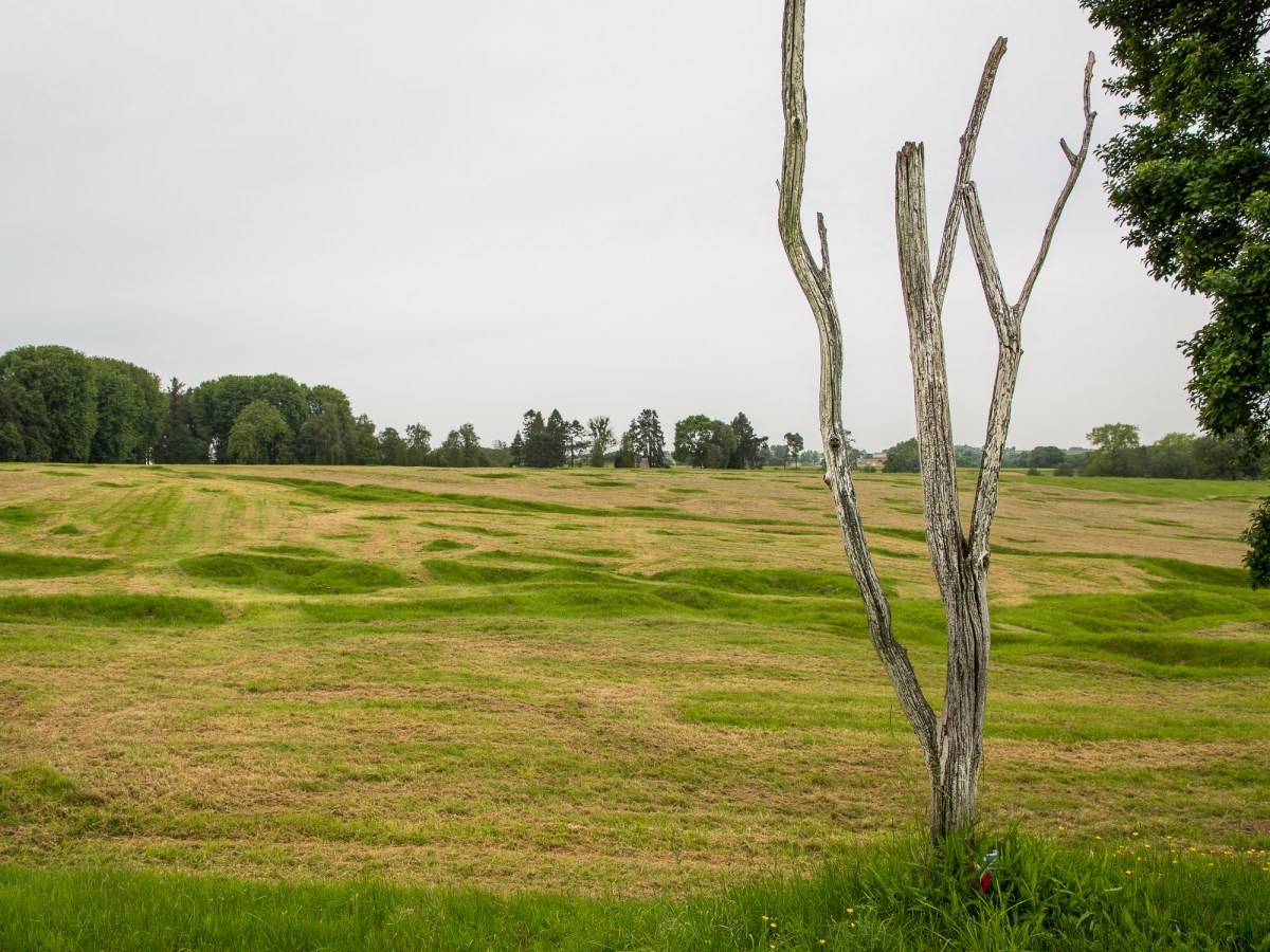 100 Years On – Meticulous Mick